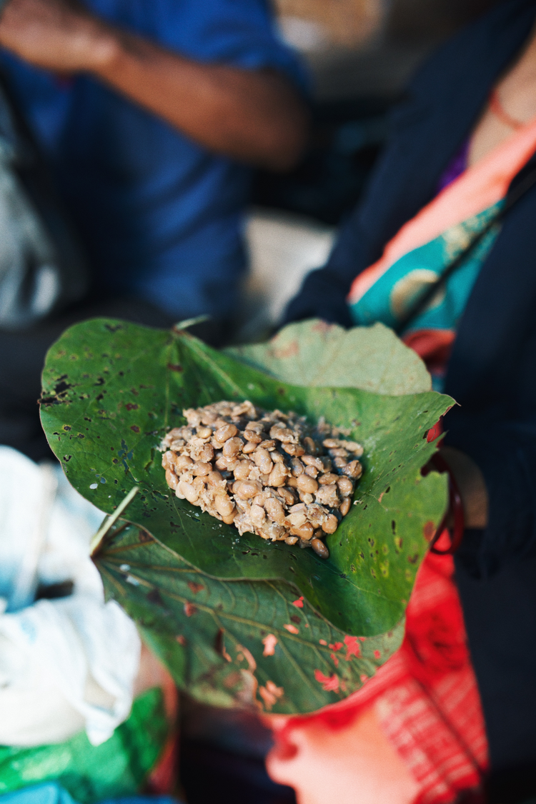 OMO Adventures – OMO Soul Foods